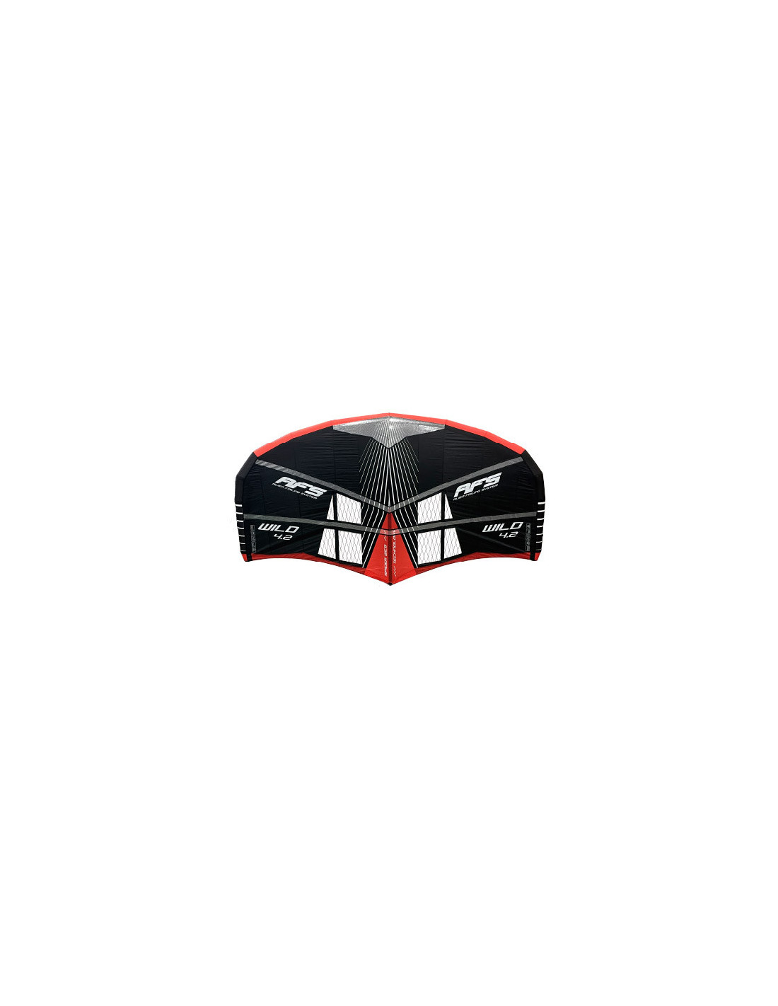 Aile Wing AFS Wild 2023 surface 4.2 m²
